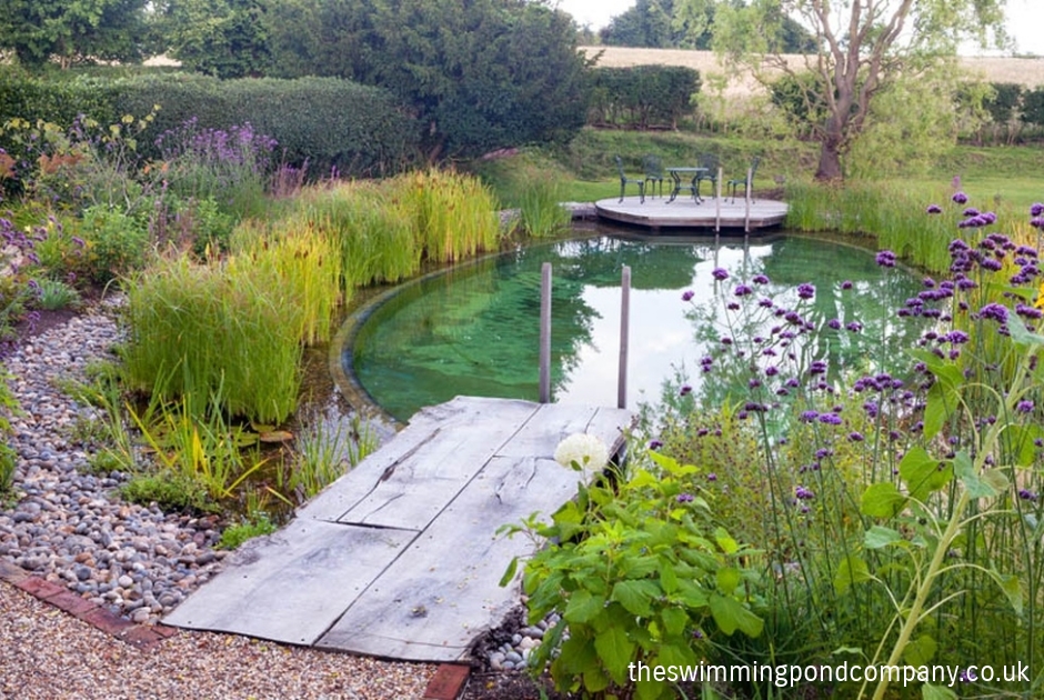 Gallery - The Swimming Pond Company Ltd.